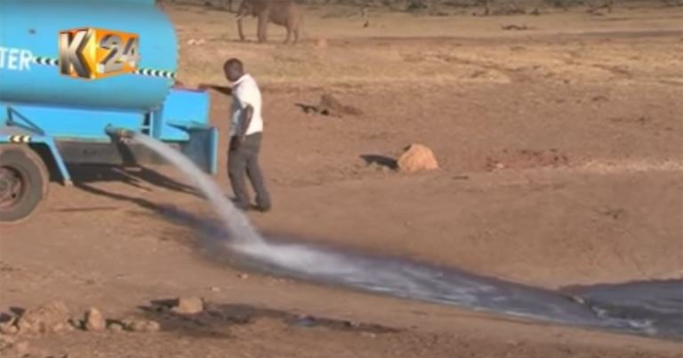 Man drives for hours with 3,000 gallons of water – but now watch when ...