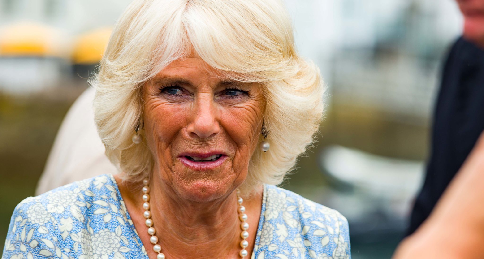 Harry gave Camilla 'long, cold glances' that she found unnerving ...