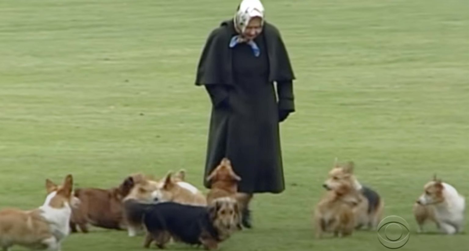 ‘In her final hours’ the Queen’s famous corgis were there by her side ...