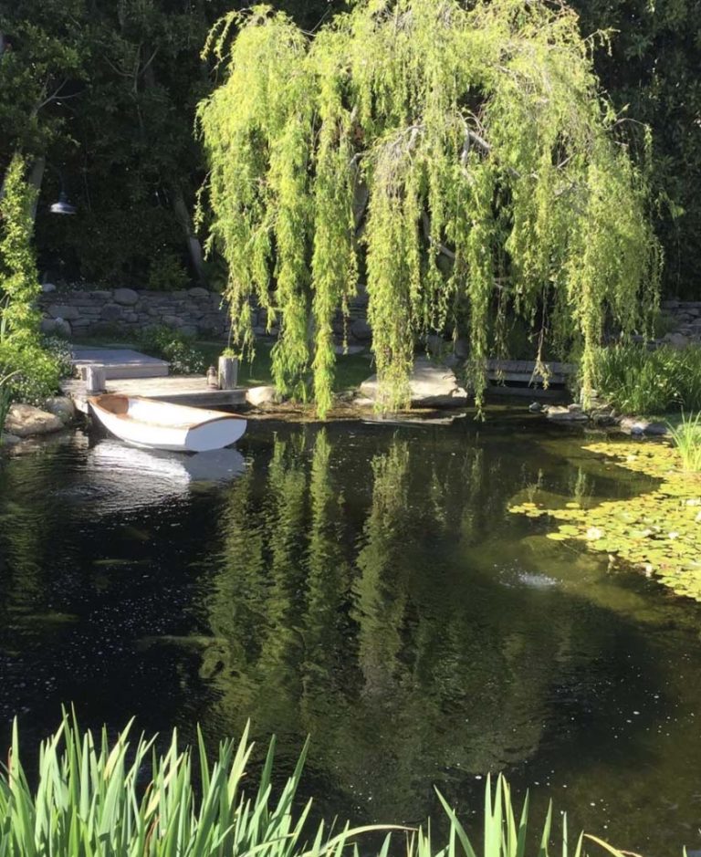 Inside Barbra Streisand's multi-million-dollar dream home: This is ...