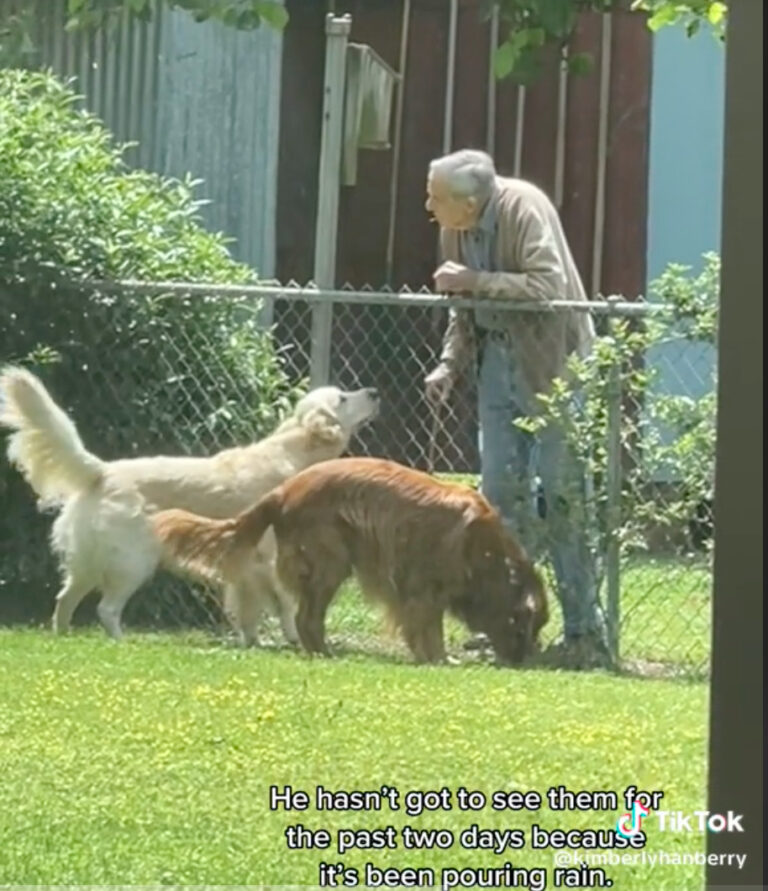 94-year-old grandpa has the sweetest routine with this pair of ...