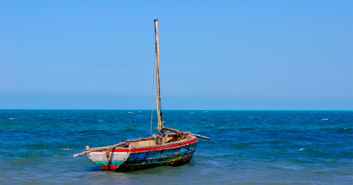 Real-life castaway and his dog rescued after months out at sea – his ...