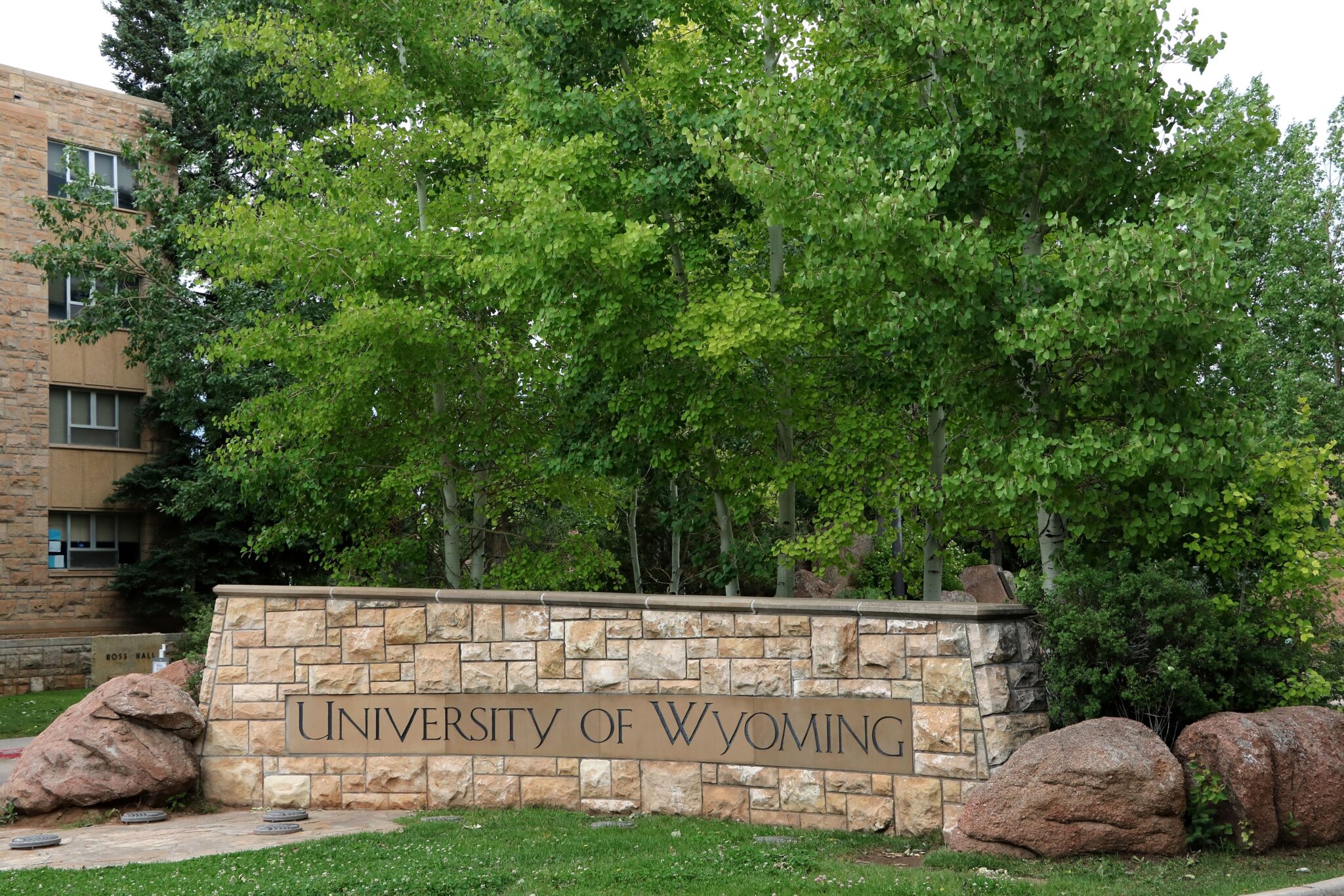 Wyoming university students killed in Colorado highway crash