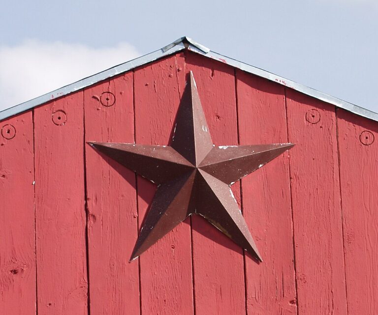 The meaning of Barn stars