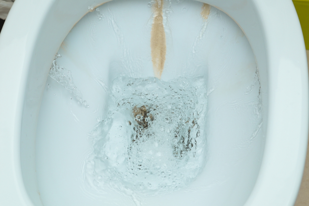 Expert reveals cause of tough toilet stains and their removal