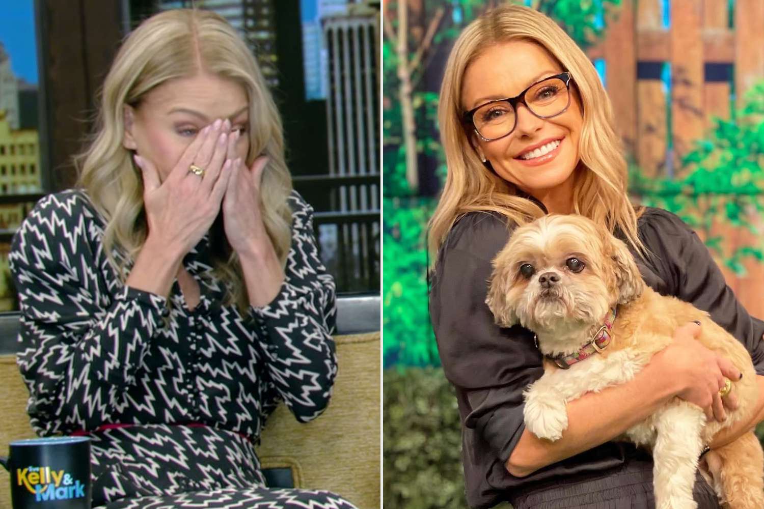 Kelly Ripa breaks down on TV after losing her 17-year-old dog