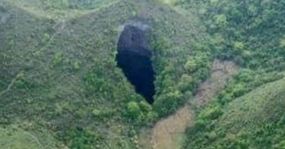 Ancient forest found at bottom of huge sinkhole