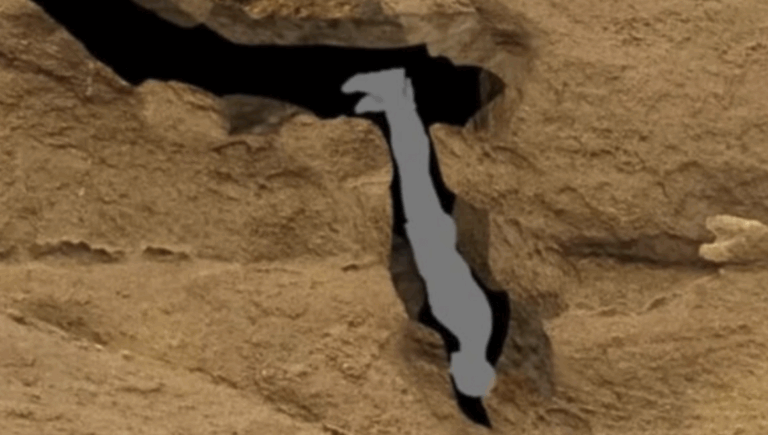 Last person to see caver who suffered "worst death imaginable"