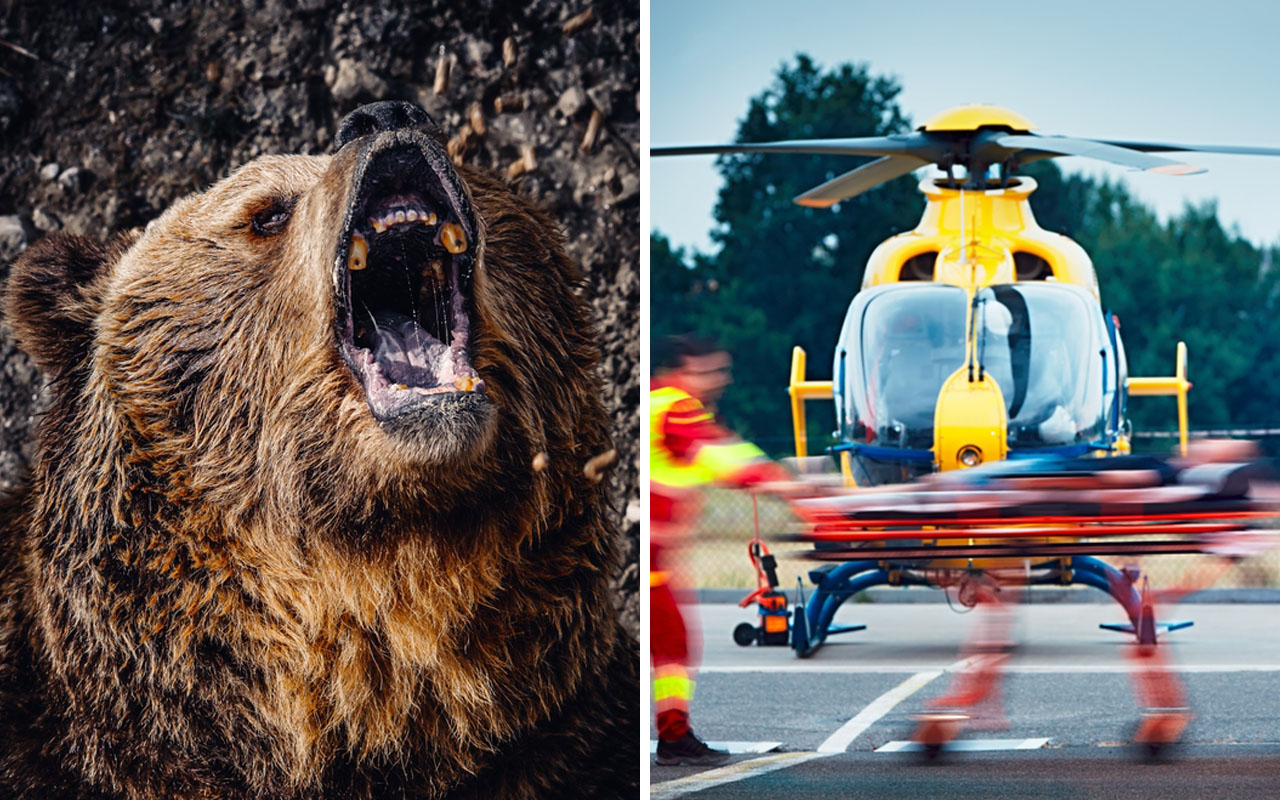 Man survives grizzly bear attack because of 'Baby Shark'