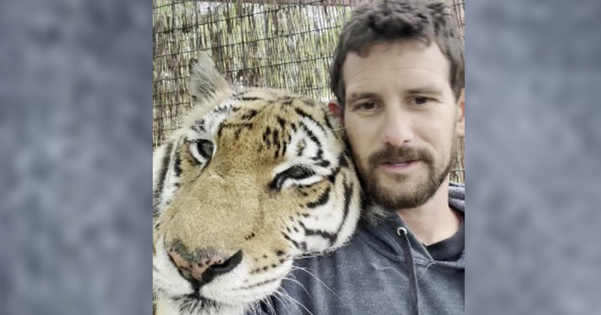 ‘Tiger King’ associate dies after being mauled by tiger during live ...