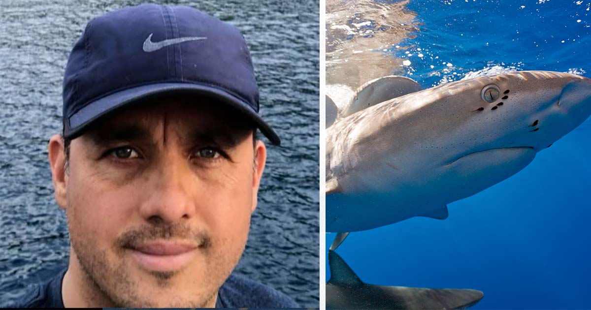 Marine biologist recalls how shark tried swallowing his head whole