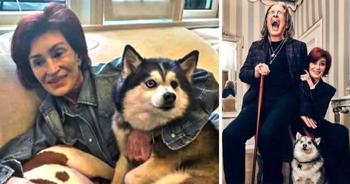 Sharon Osbourne shares tragic news on passing of dog Elvis
