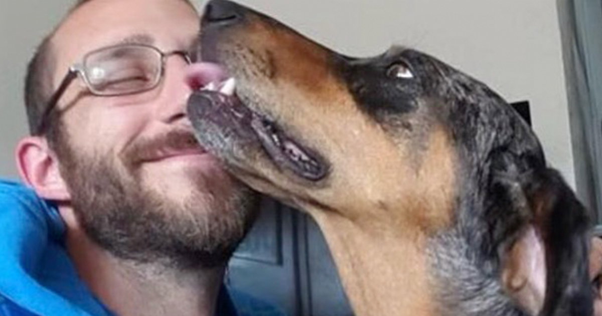 Heartbreaking detail about Alex Pretti’s dog emerges after the ...