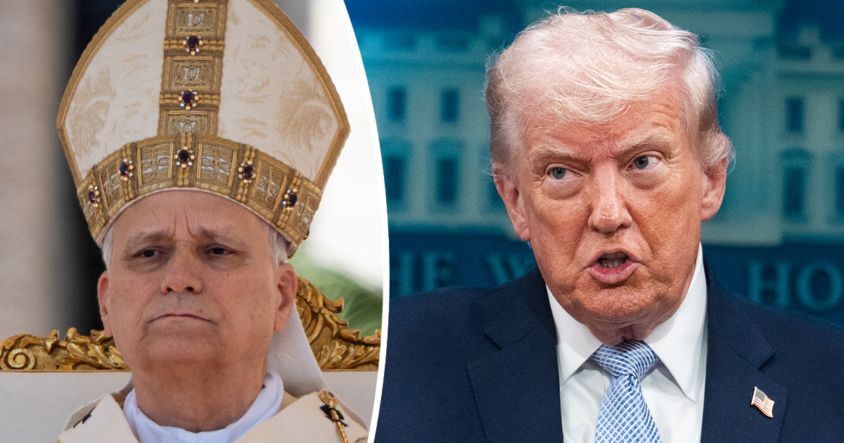 Pope Leo makes grim 2-word statement on Donald Trump amid horrifying ...