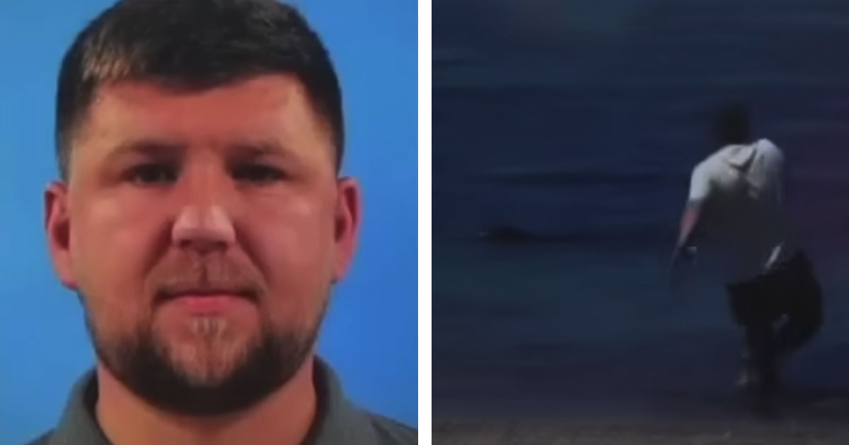Tourist allegedly abused for throwing rocks at beloved seal receives ...