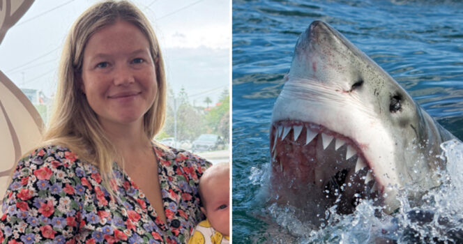 Teacher's haunting one-word plea after horror shark attack leaves her ...