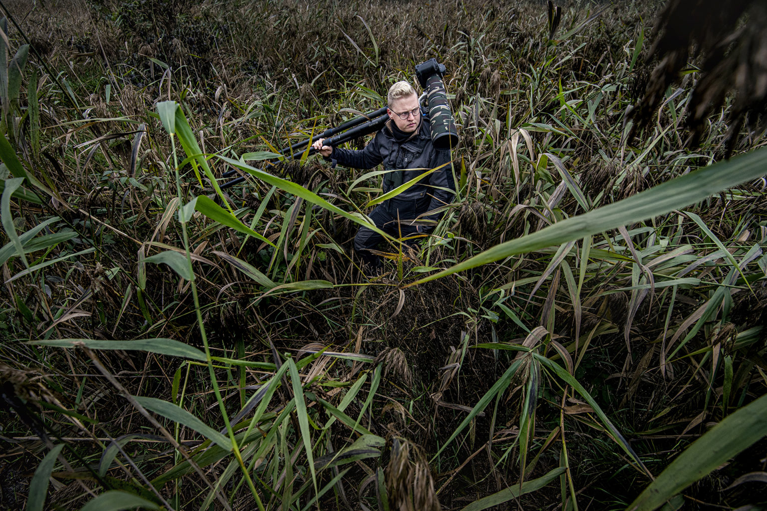 Svenske fotografen Jonas Classon tog sagolik bild på uggla i natten ...