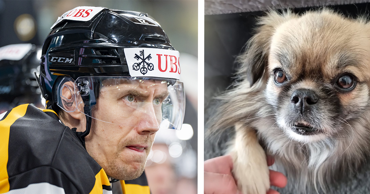 Kia Lehmuskosken koiralla yllättävä yhteys Marko "Mörkö" Anttilaan