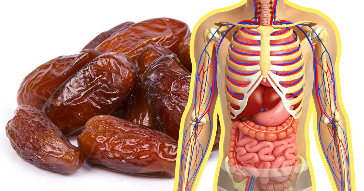 Dadler: Så sunde er de for kroppen