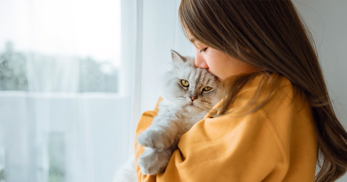 11 tegn på at din kat nærmer sig enden