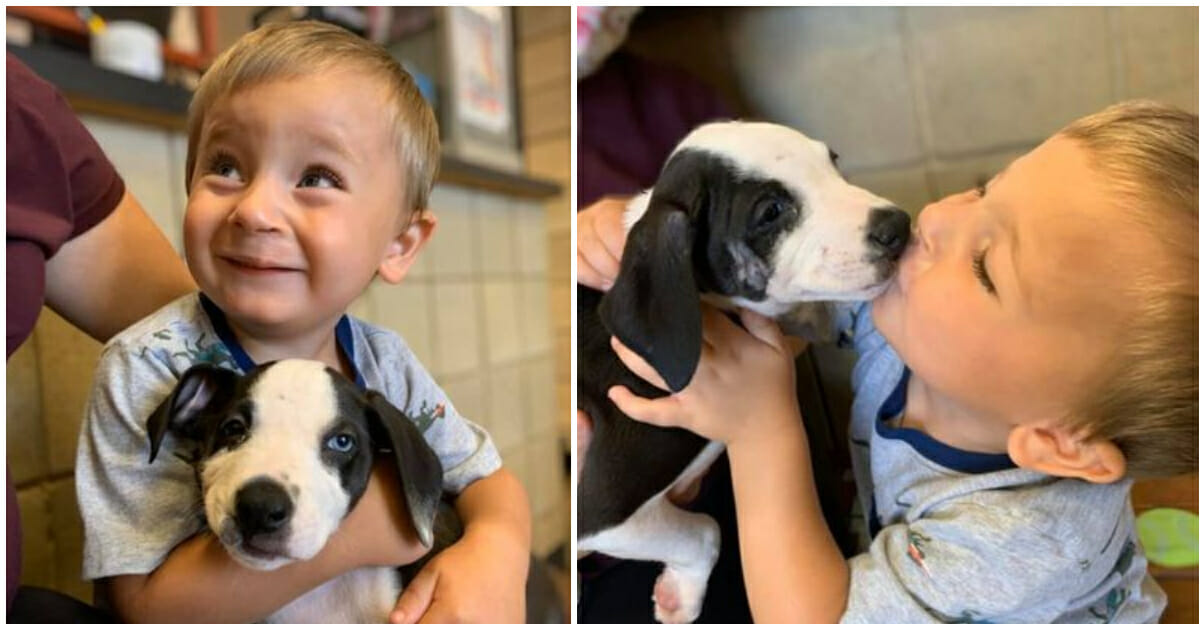Junge mit Lippenspalte adoptiert Welpen mit gleichem Leiden