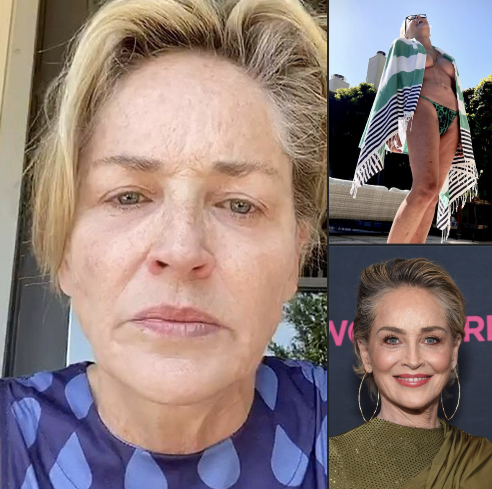 Sharon Stone rockt mit 67 Jahren den Bikini - hier seht ihr selbst