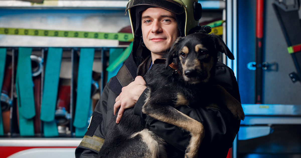 Un chien errant est adopté par le pompier qui l'a secouru
