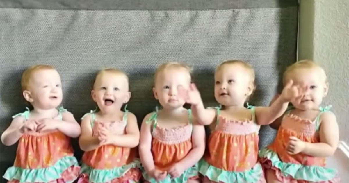 Il y a 7 ans, ces quintuplées sont entrées dans l'histoire – personne n ...